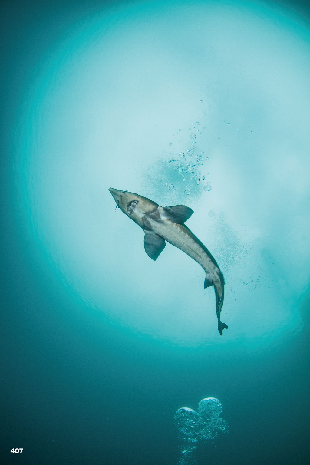 2020-407 - Art in VR