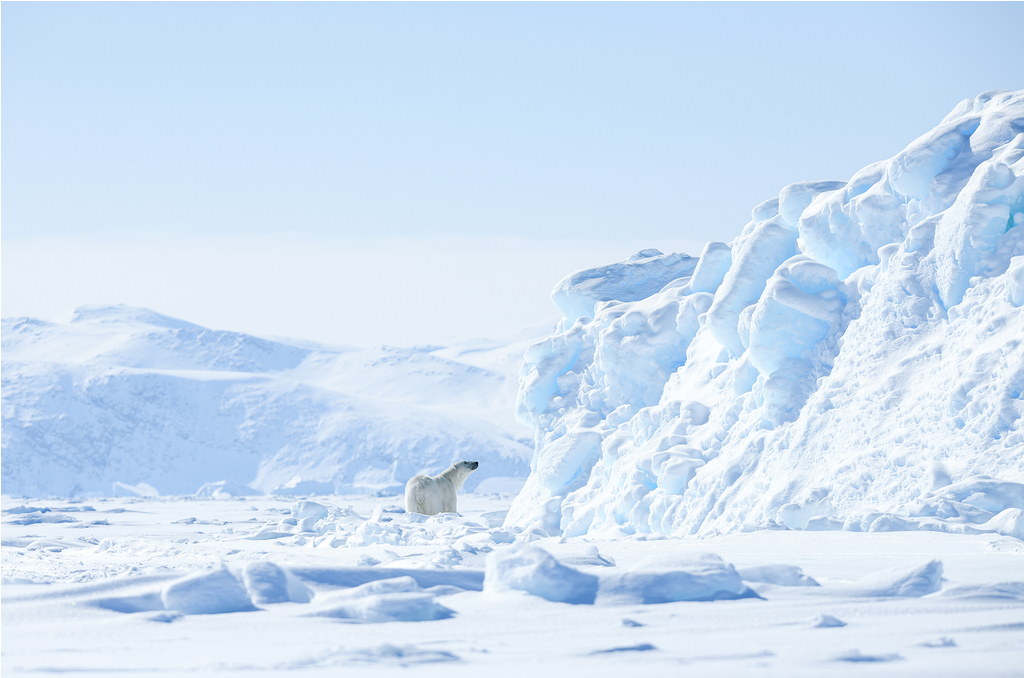 A Dream of Spring - Art in VR