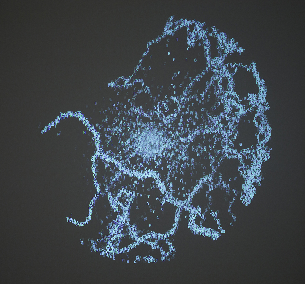 ACGTCA (Genoma) - Art in VR