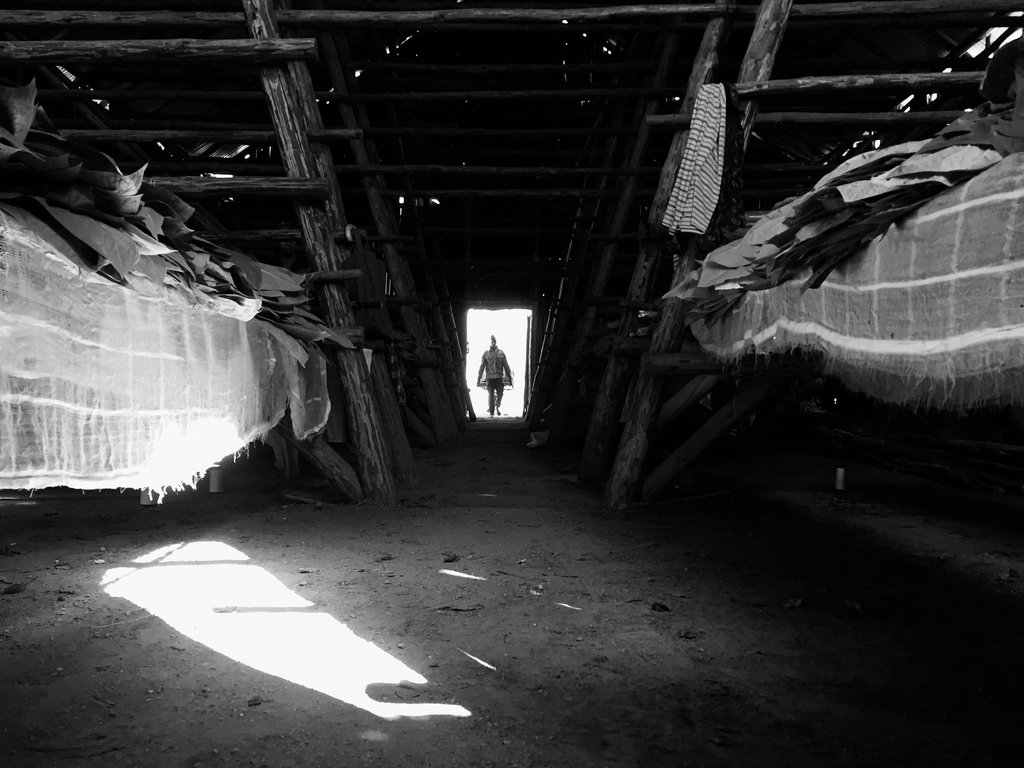 Atman - Art in VR
