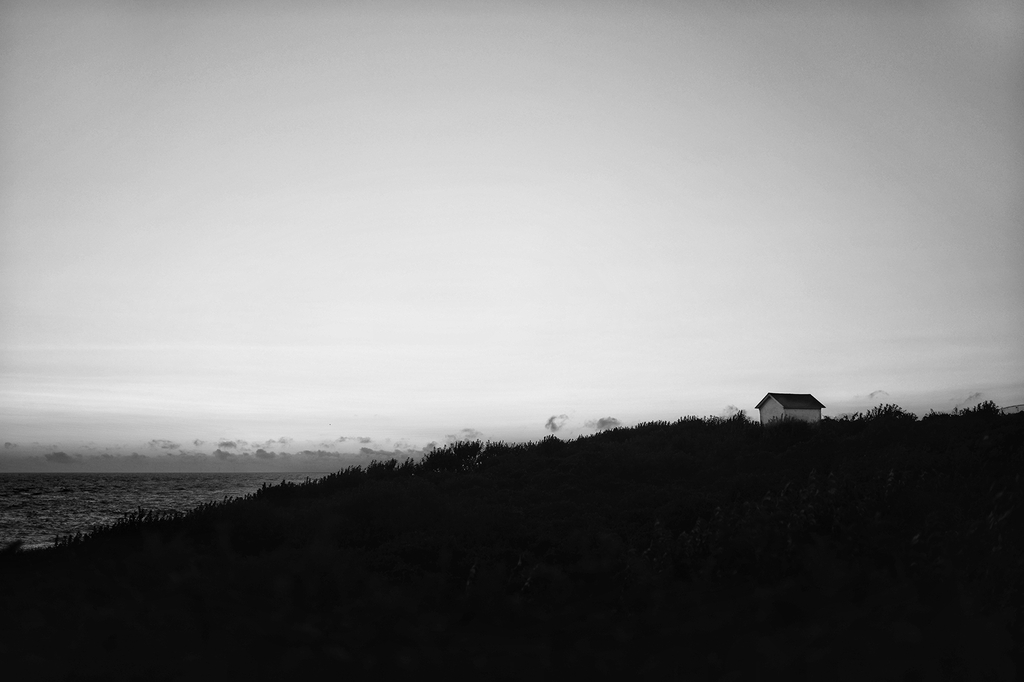 But a Part. - Art in VR