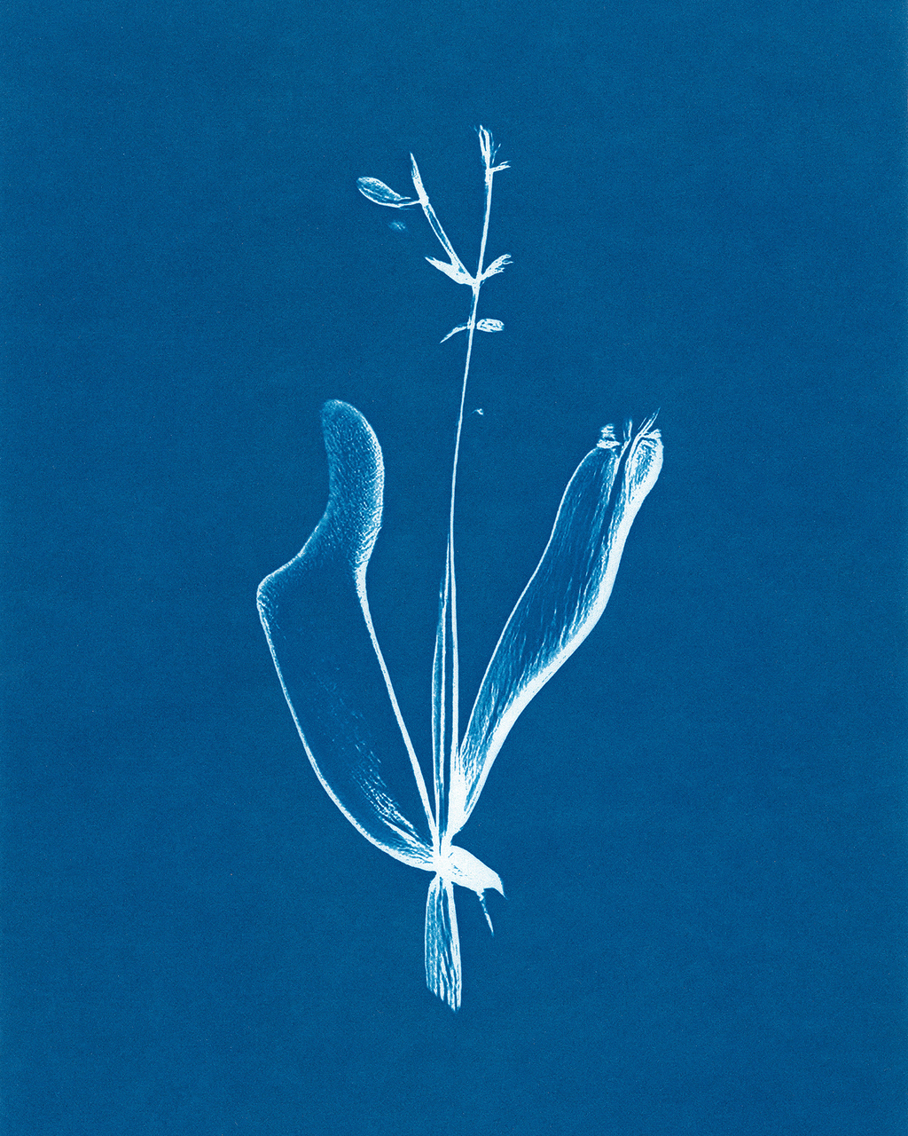 In Translation #3 - Art in VR